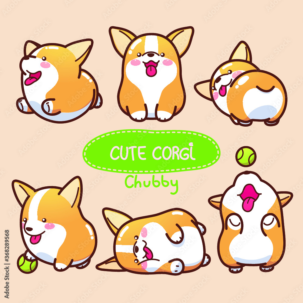 Fat and chubby cute corgi collection. Stock Vector | Adobe Stock