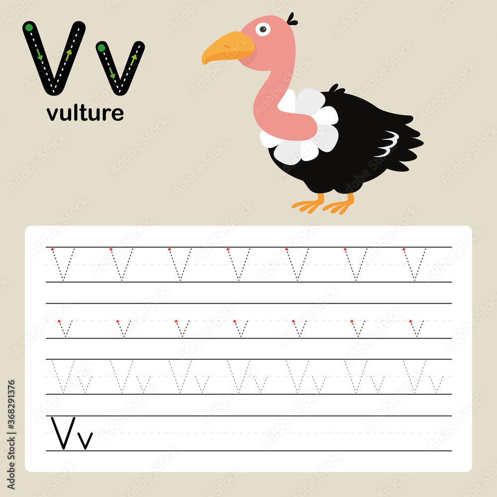 V, vulture, Alphabet tracing worksheet for preschool, vector ...