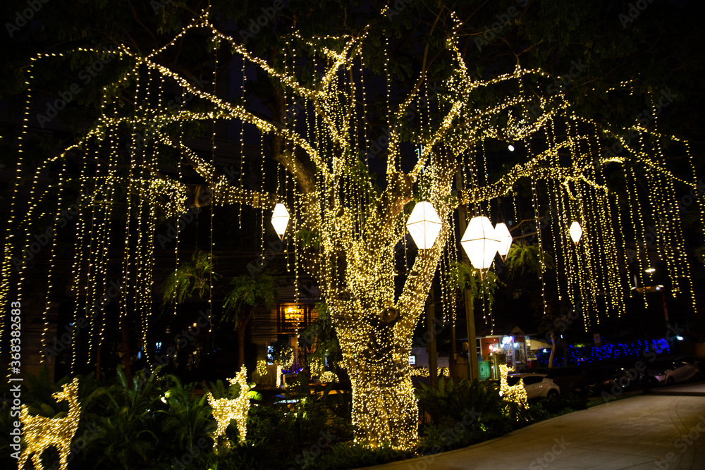 cable of string led lights on tree in the garden at night time used for ...