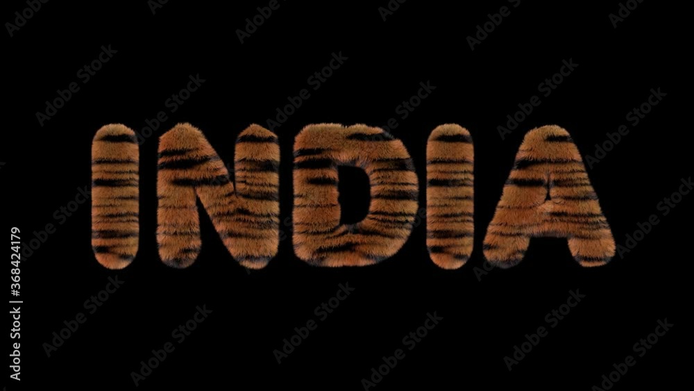 3d animated text spelling INDIA, made of fury Tiger striped letters ...