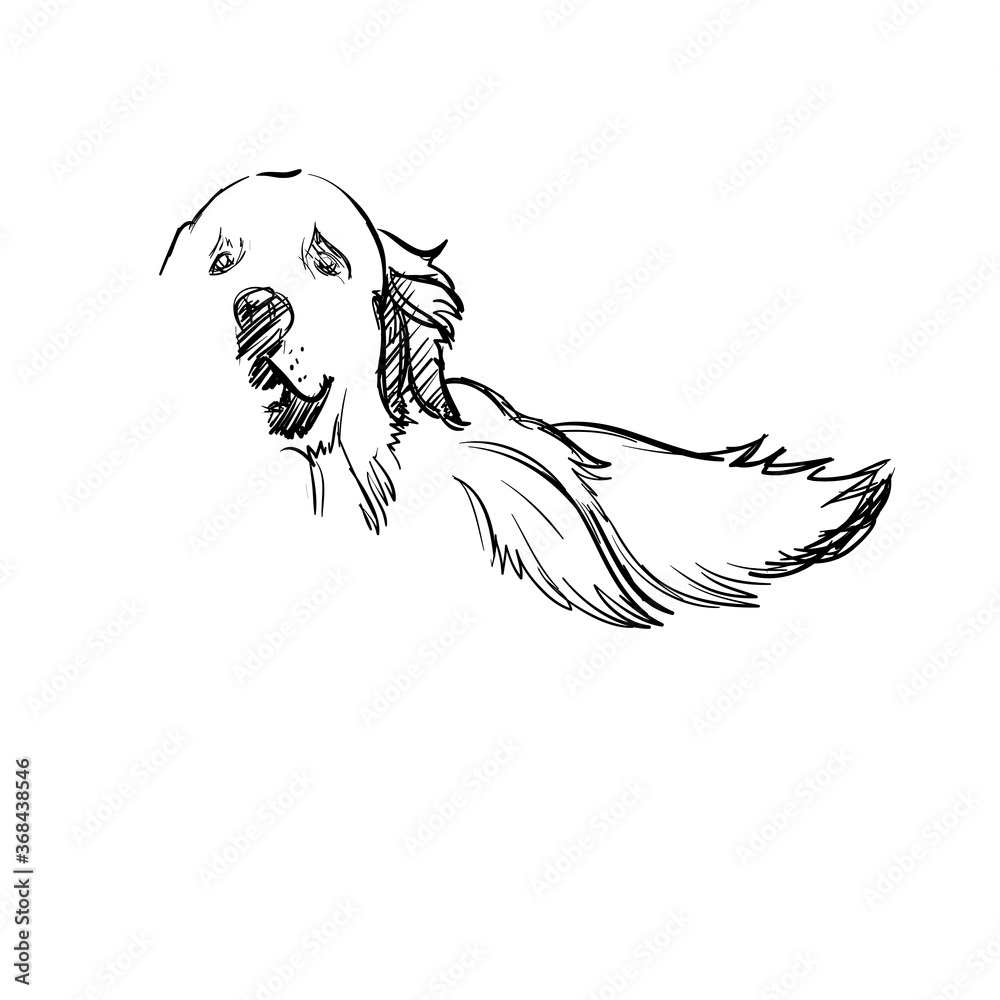 The Portrait of a Cute Shaggy Dog on White Background. Vector ...