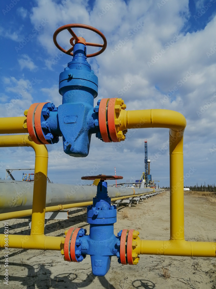 Pipeline fittings and manifold of producing gas wells in the field ...