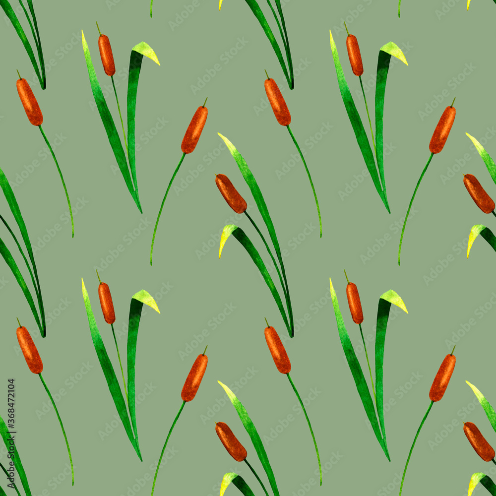 Marsh plants seamless pattern with cattails.Botanical watercolor ...