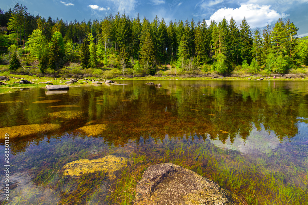 Ein See mit klarem Wasser im Wald an der Schwarzenbachtalsperre foto de Stock | Adobe Stock