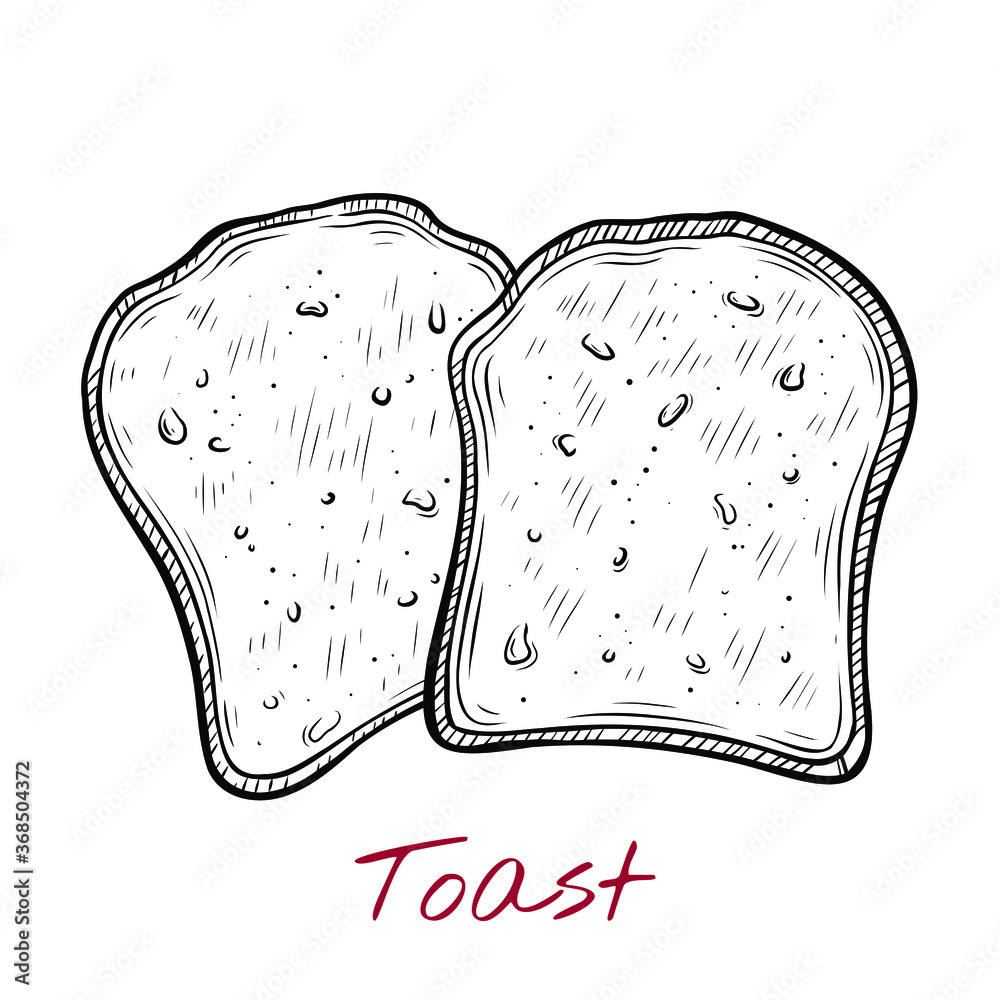 Vector sketch illustration of bread toast drawing isolated on white ...