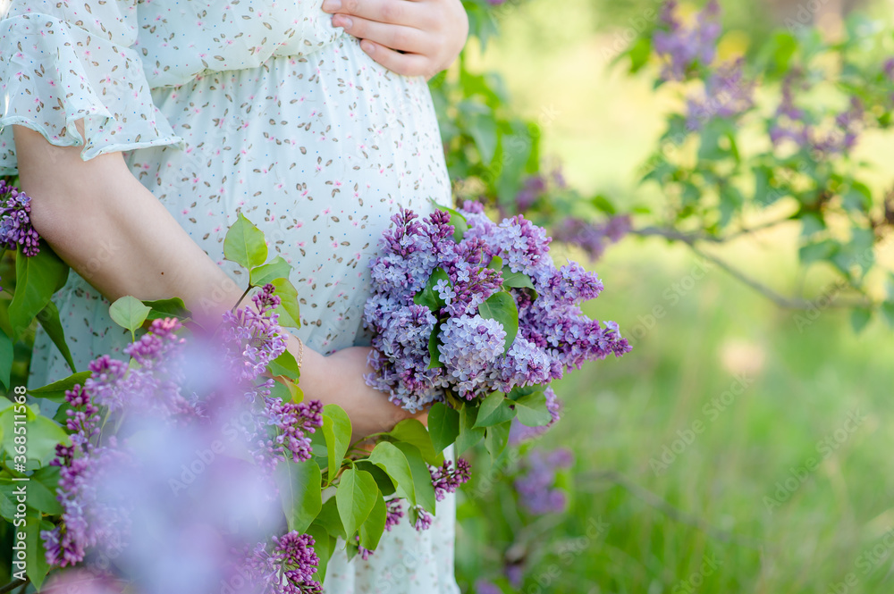 Belly of a pregnant girl who holds a bouquet of lilacs and strokes her ...