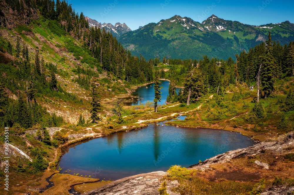 Heather Meadows, Mt. Baker, Washington. Heather and huckleberry meadows ...