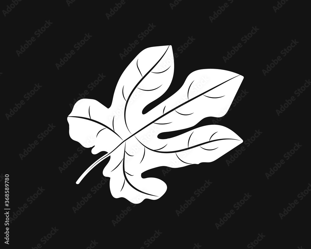 Fig leaf icons isolated on white. Stencil. Vector stock illustration ...