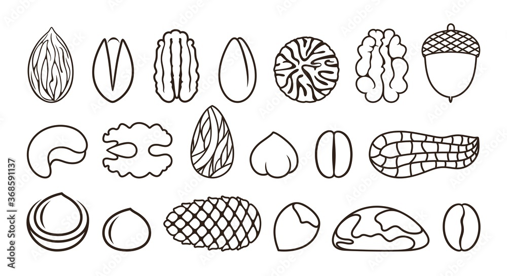 Nut outline. Isolated nut outline on white background Stock Vector ...