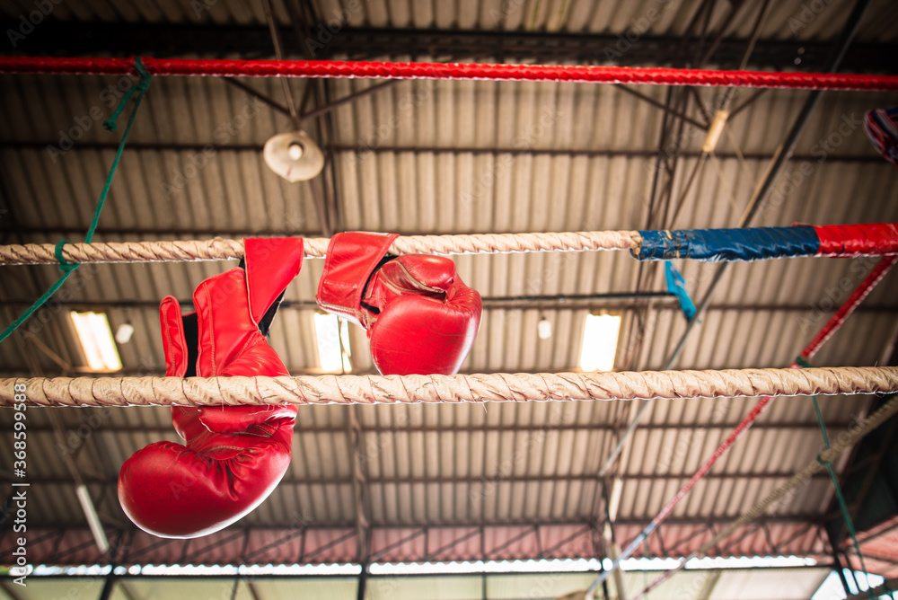 Boxing camp and empty boxing ring No boxing in crisis with coronavirus ...