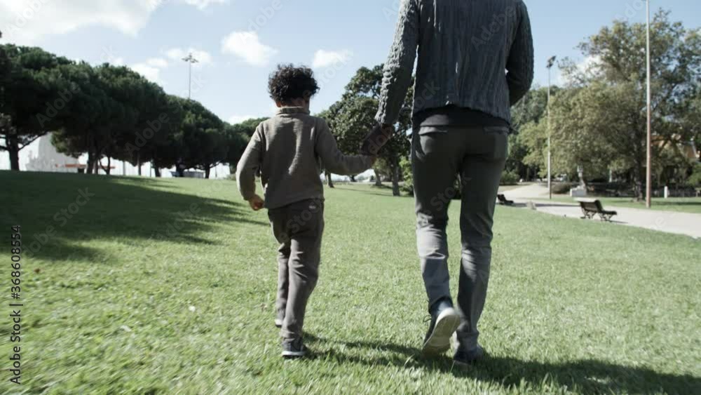 African American dad holding son hand and walking on meadow in city ...