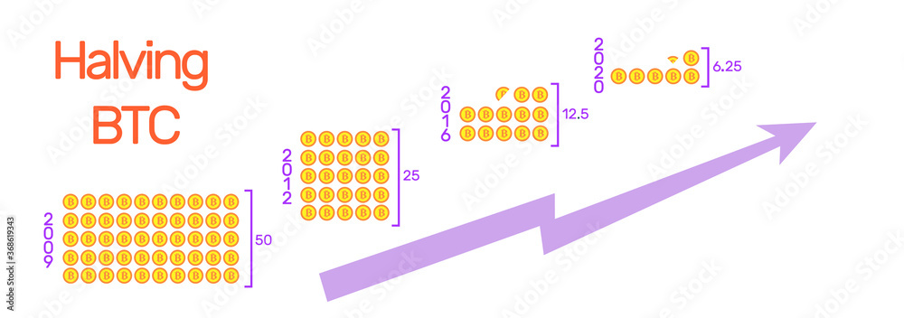 Halving bitcoin infographic. Block reward reduced in two times every ...
