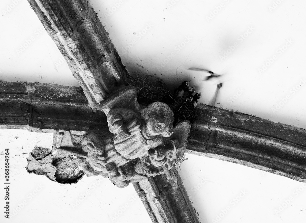 Foto de On the angels wings. Bird feeding chicks in nest built over ...