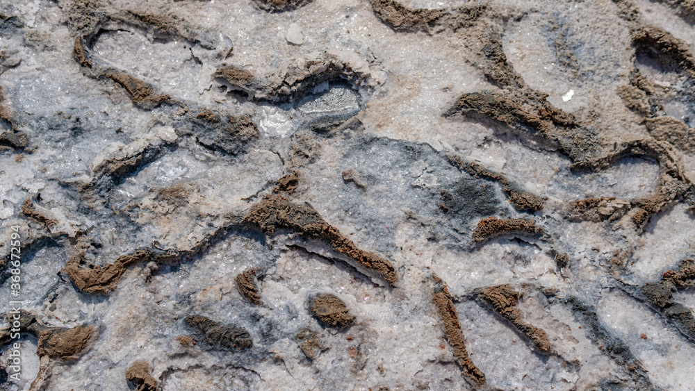 Pink salt, sea salt background, created from microscopic unicellular ...