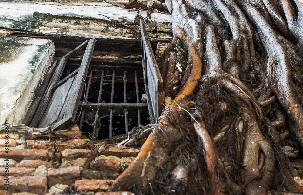 Bangkok,Thailand - Jan 25, 2020 : Big tree growing in old red bricks ...