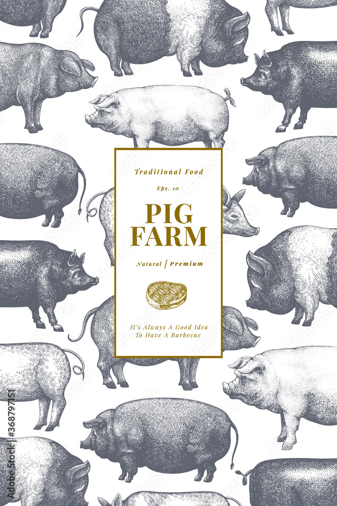 Hand drawn farm animals background. Vector pig design template. Retro ...