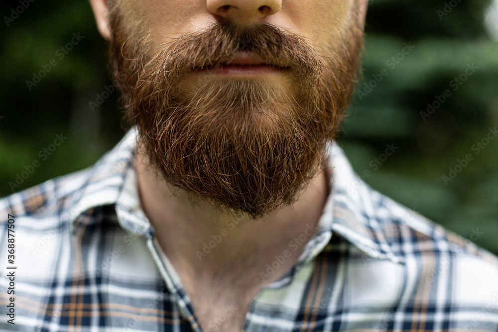 Classic male beauty. Brown-haired guy with sideburns, close-up. Stock ...