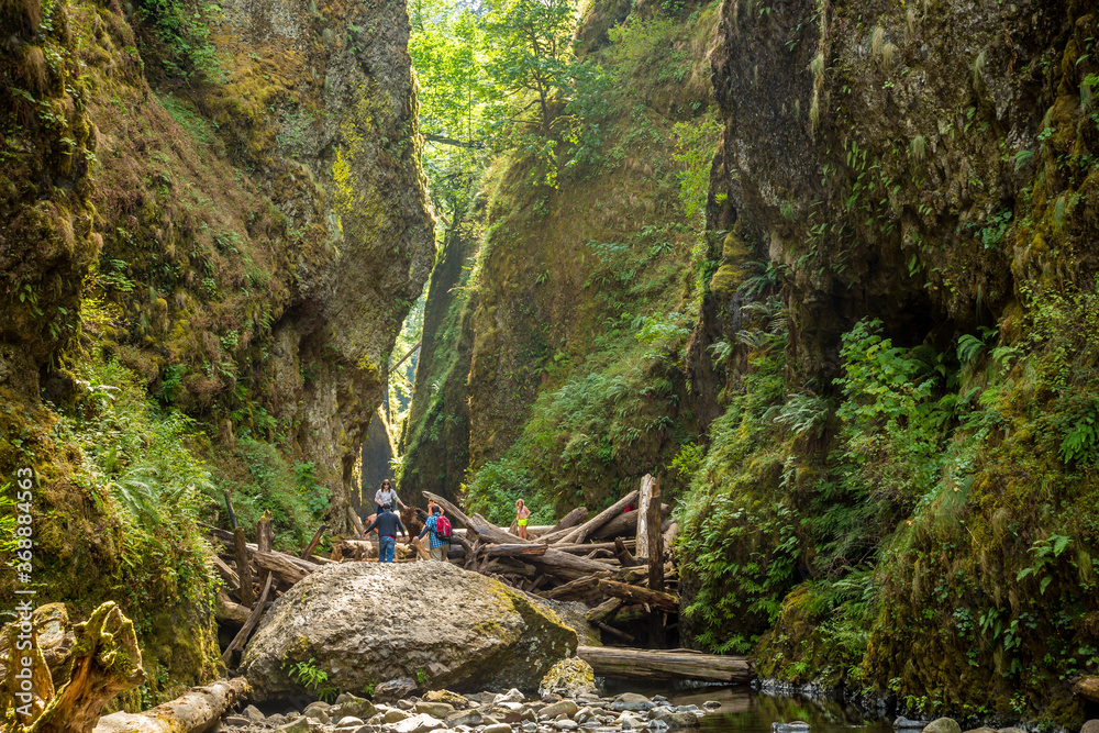 Hikers scrambling over a log jam at the entrance to Oneonta Gorge, in ...