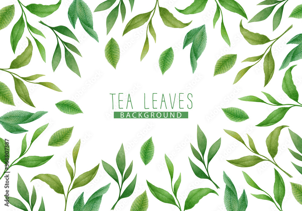 Watercolor Illustration with hand drawn tea leaves and branches ...