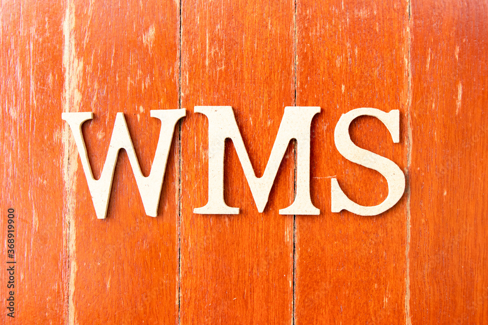 Alphabet letter in word WMS (Abbreviation of warehouse management ...