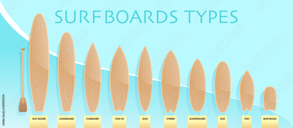 Types of surfboards infographics names and sizes. Vector stock ...