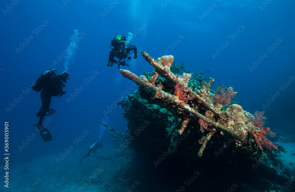 Scuba divers explore sunken ships at the bottom of the sea. Marine life ...