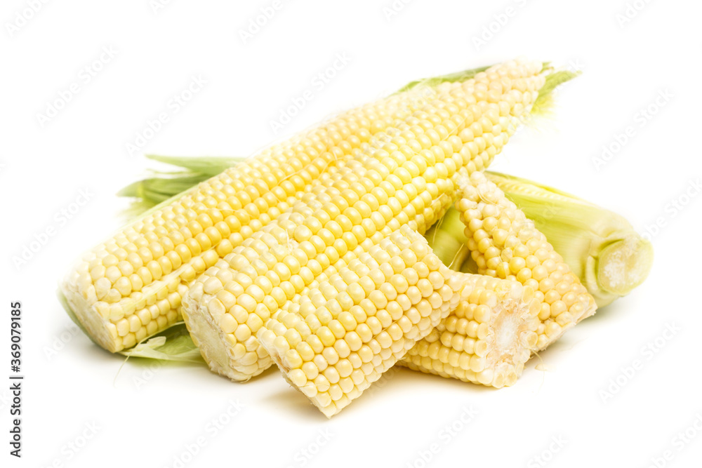 Mazorcas de maíz natural y crudo sobre un fondo blanco liso y aislado ...