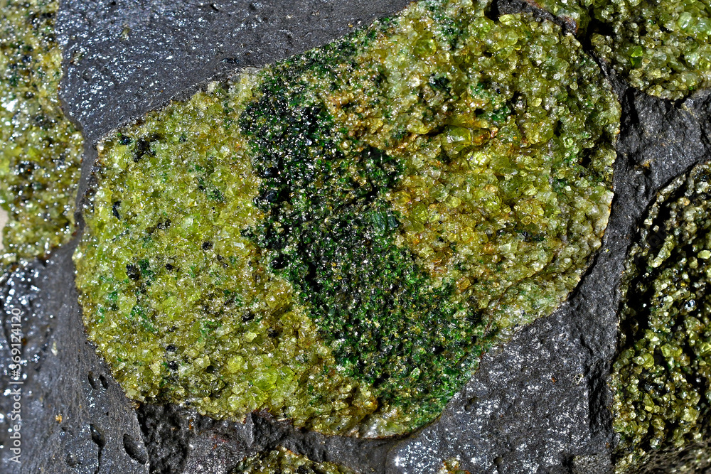 Olivine Websterite
