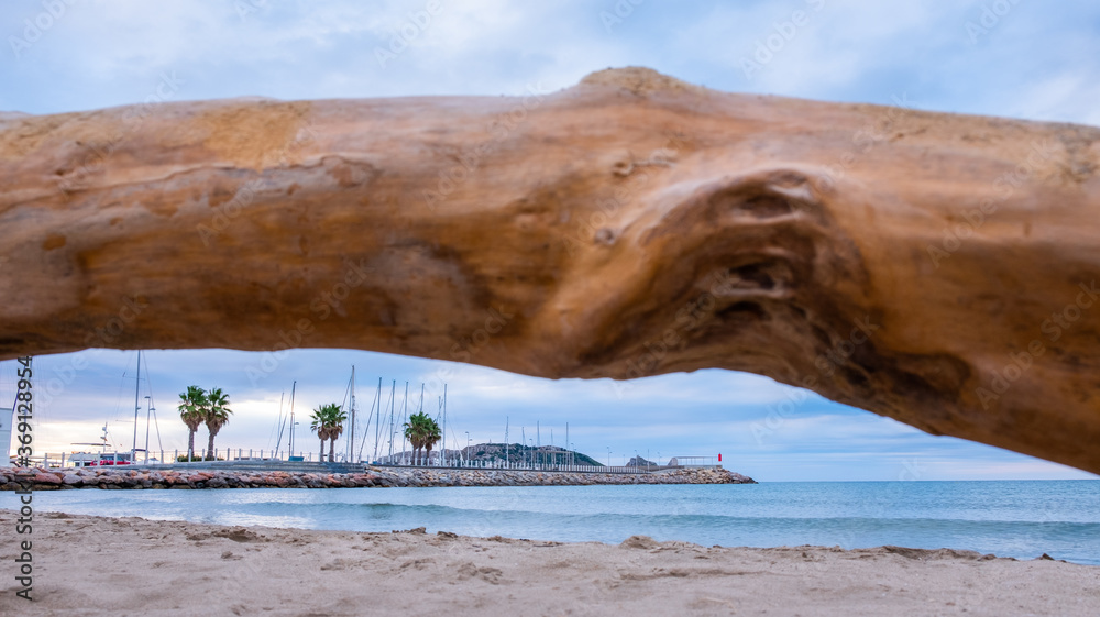 Beautiful beach and baulk in the frame. Beautiful nature background ...