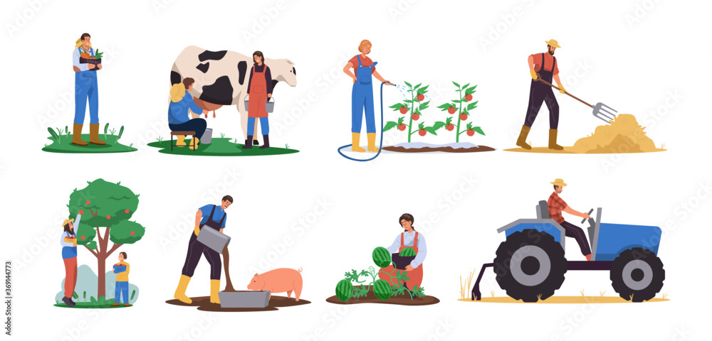 Agricultural workers gathering harvest, planting crops, feeding animals ...