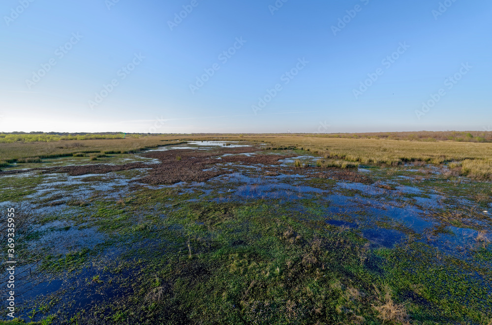 The Marshes or Wetlands to the North of 40 Acre Lake, looking towards ...