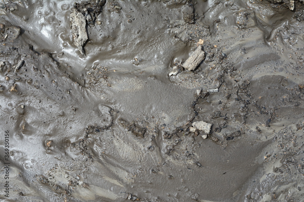 Mud texture or wet gray soil as natural background. Stock Photo | Adobe ...