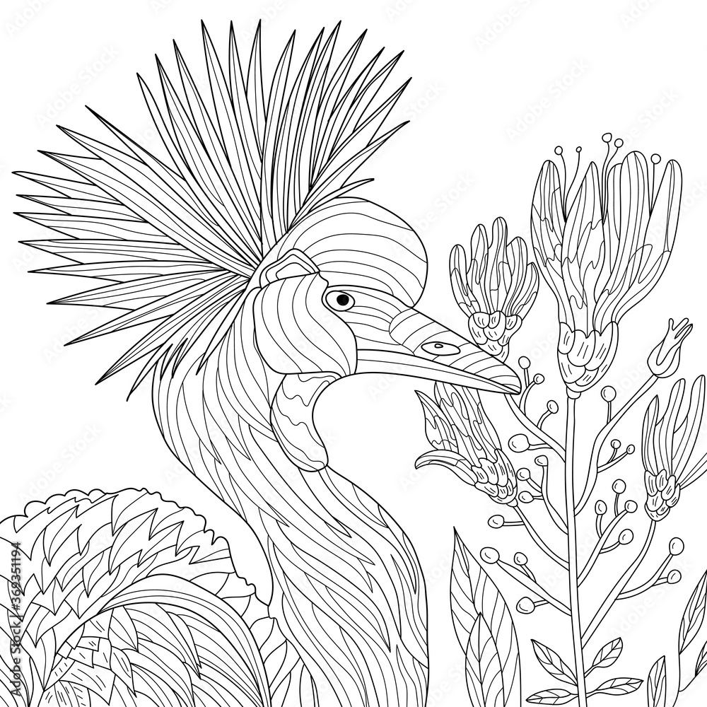 Crown bird portrait. Vector illustration hand drawn. Coloring page ...