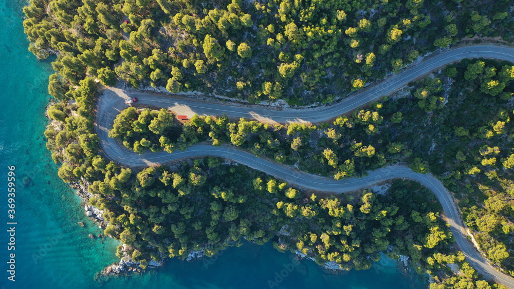 Aerial top down photo of snake road covered in pine trees leading to ...