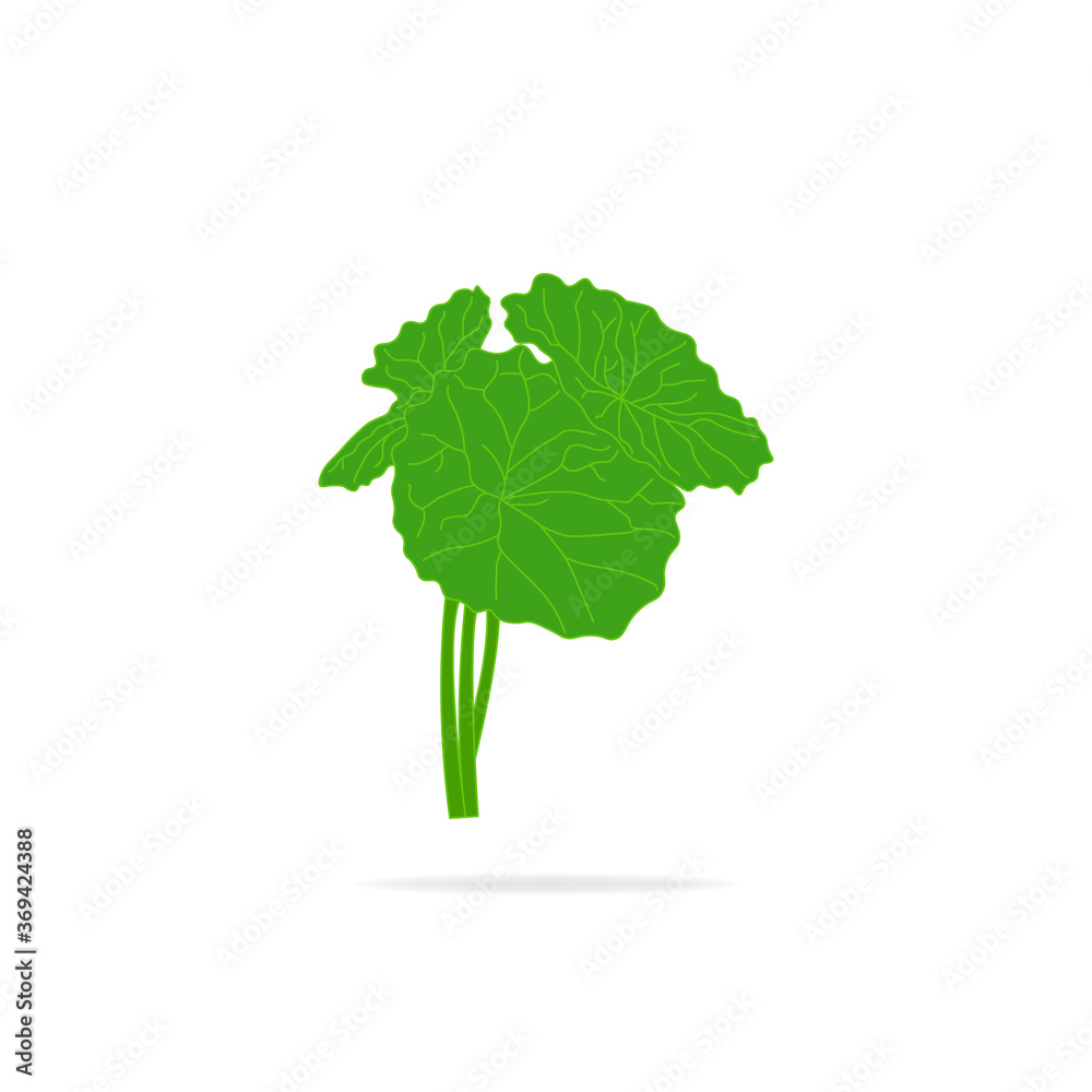 Gotu kola icon. Centella asiatica flat design isolated on white ...