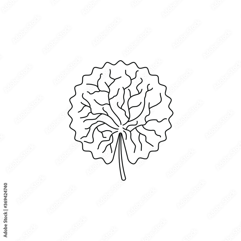 Gotu kola line icon. Centella asiatica isolated on white background ...