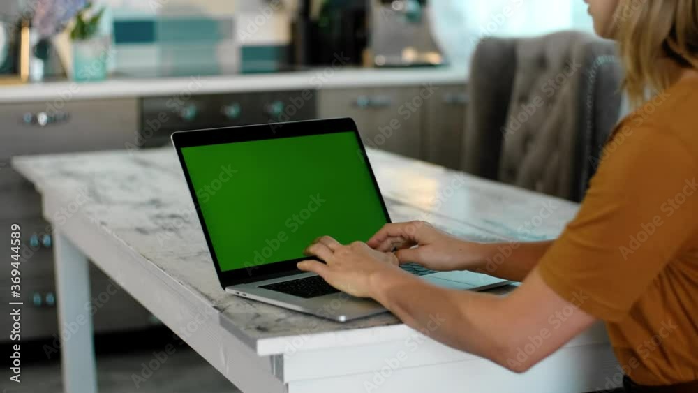 Vidéo Stock woman rear view typing, scrolling internet on laptop with ...