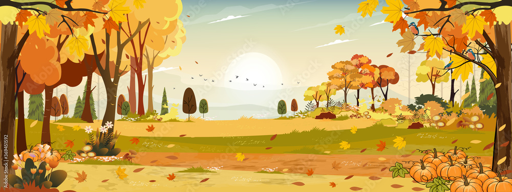 Autumn landscape wonderland forest with grass land, Mid autumn natural ...