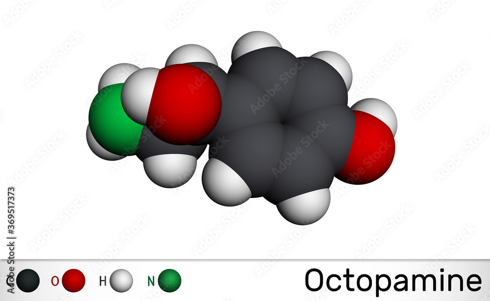 Octopamine molecule. It is biogenic phenylethanolamine, sympathomimetic ...