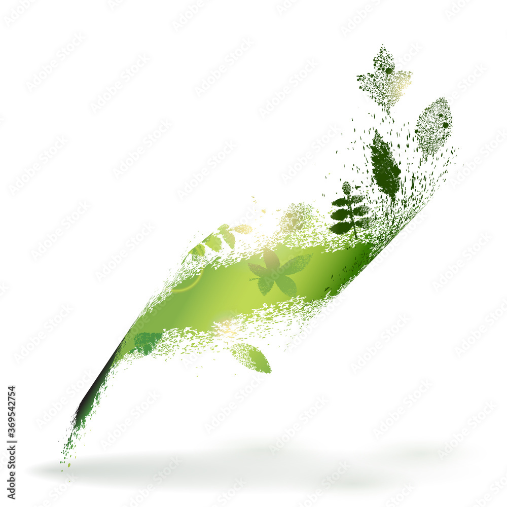 green swirl with leaves and splatters on white background Stock Vector ...