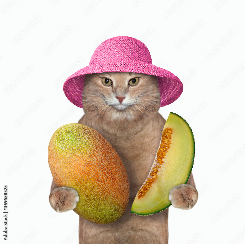 Cats Wearing Fruit Hats