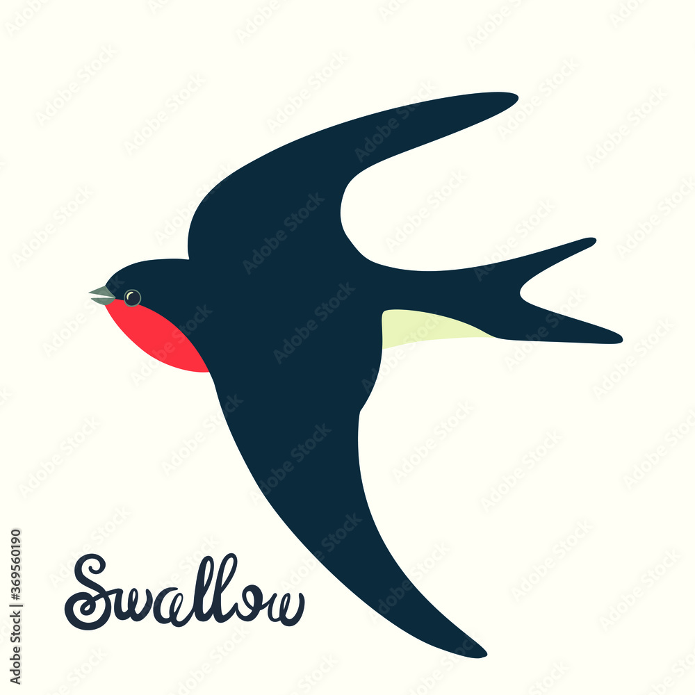 Hand drawn vector cartoon swallow isolated on white background Stock ...