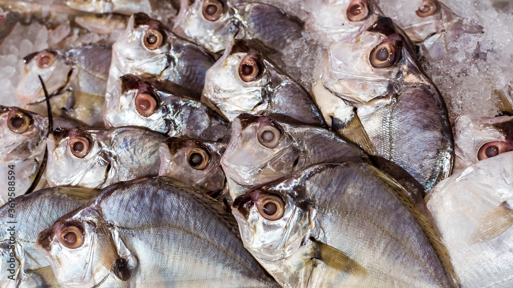 Pony fish or Sapsap on display at the fish section of the supermarket ...
