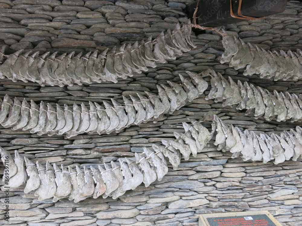 many animal bones are hanging on the slate house to show the hunting ...