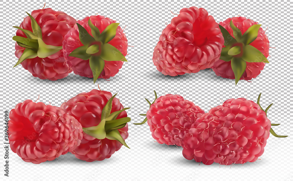Set of raspberry from different angles on transparent background ...