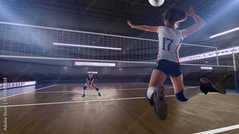 Female professional volleyball players in action on 3d stadium. Stock ...