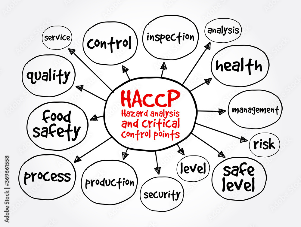 HACCP - Hazard analysis and critical control points mind map, health ...