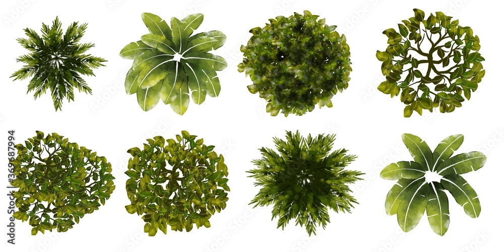 Set of watercolor tree top view for landscape plan and architecture ...