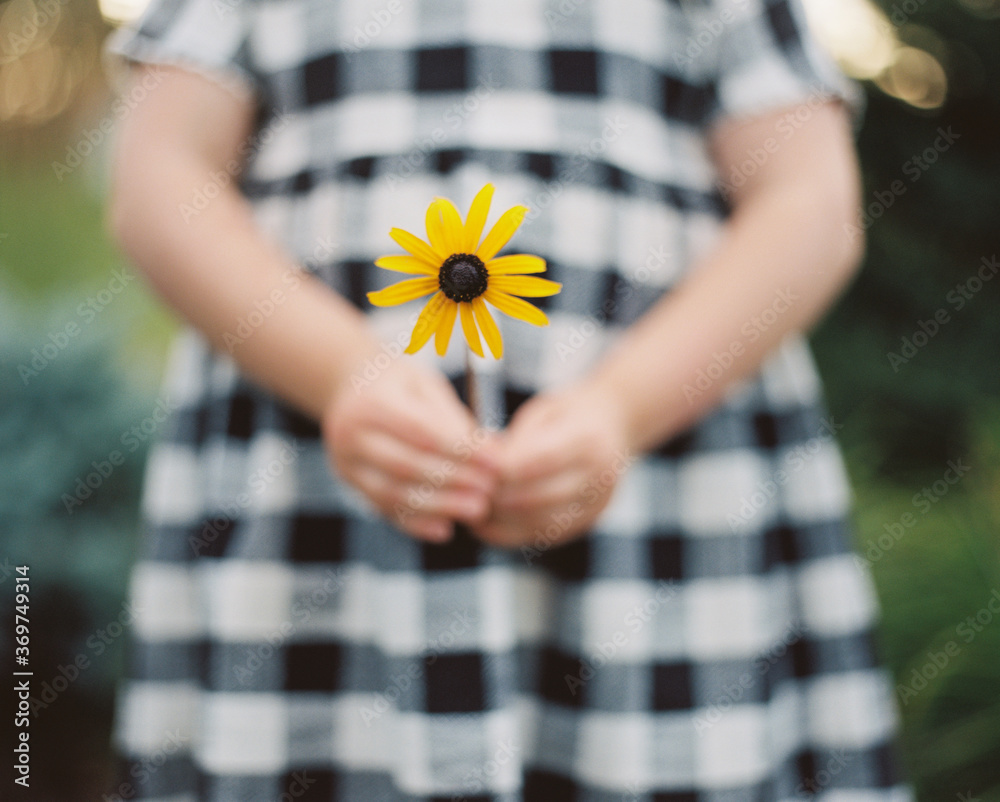 Foto de daisy in hands of young girl do Stock | Adobe Stock
