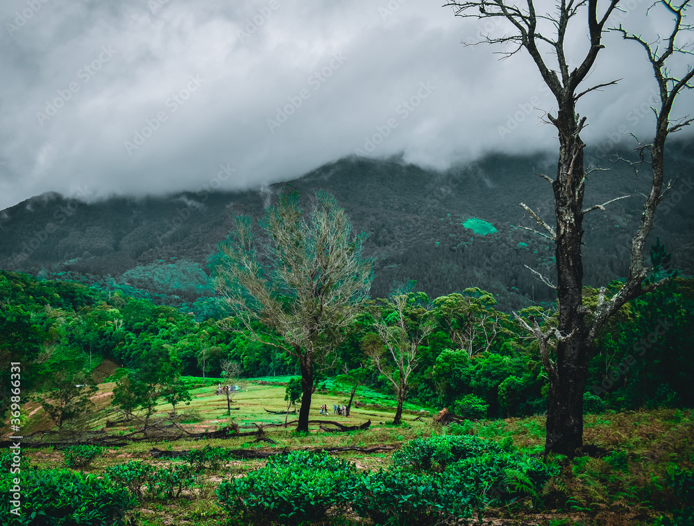 " The beauty of a morning in the mountains " - Hawagala mountain is one ...